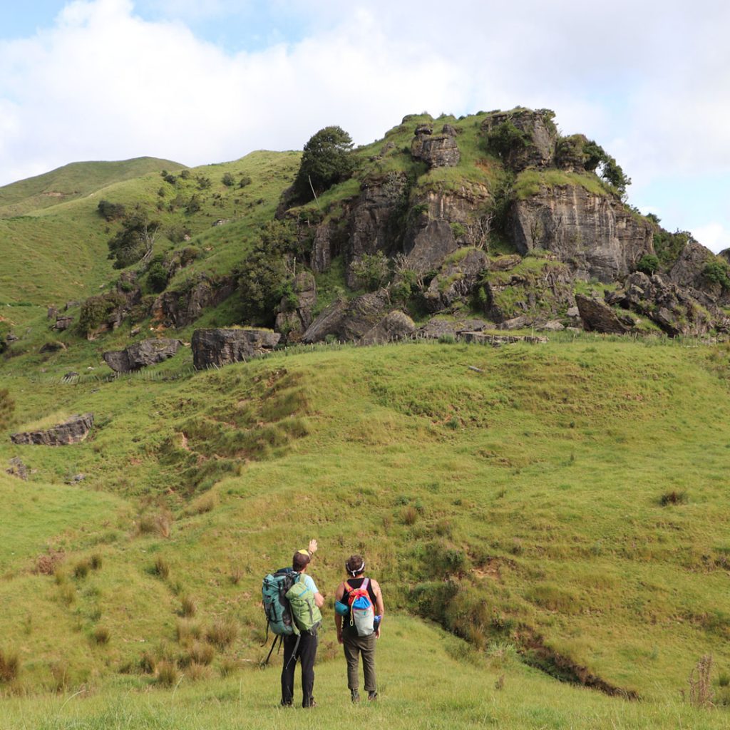Top Rope Rock Climbing Adventure | New Zealand | Raglan Rock NZ